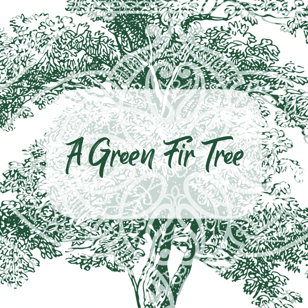 A Green Fir Tree – My Simple Christianity
